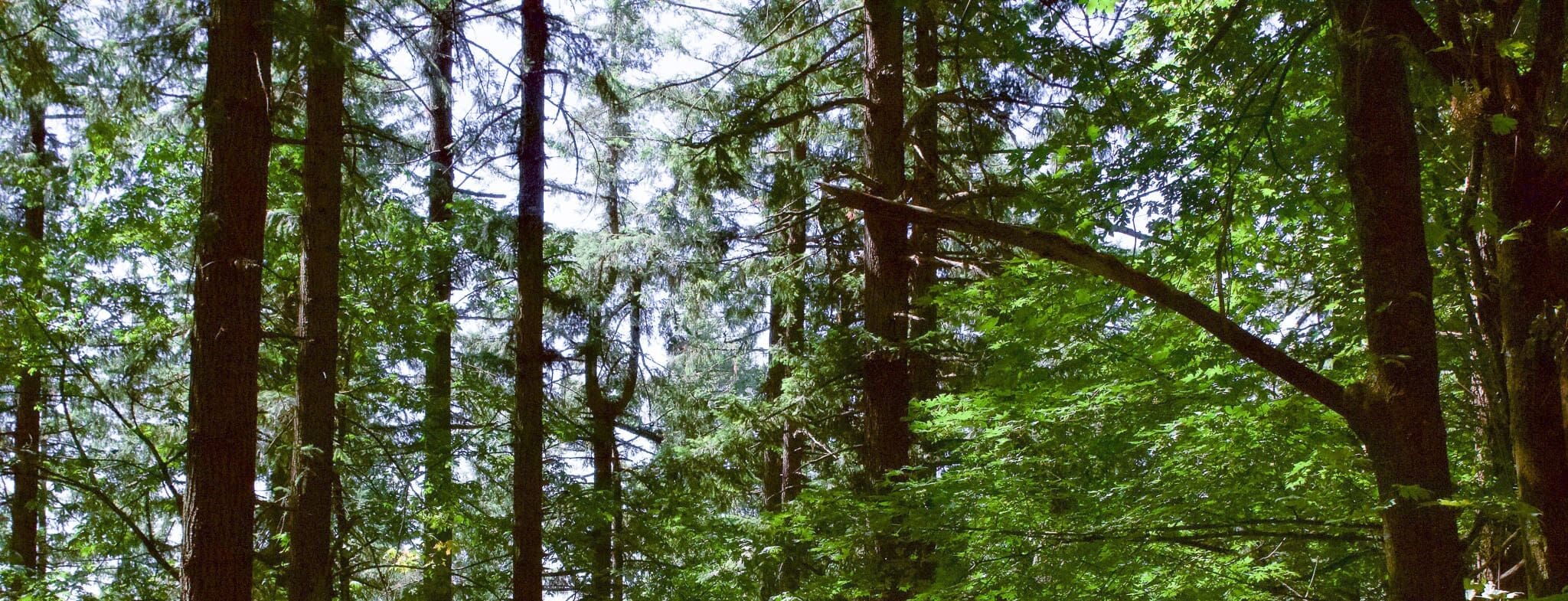 Share your Photos - Western Forestry and Conservation Association